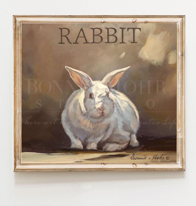 Ruby the Rabbit | Farm Animals Series | Bonnie Mohr Studio Store ...