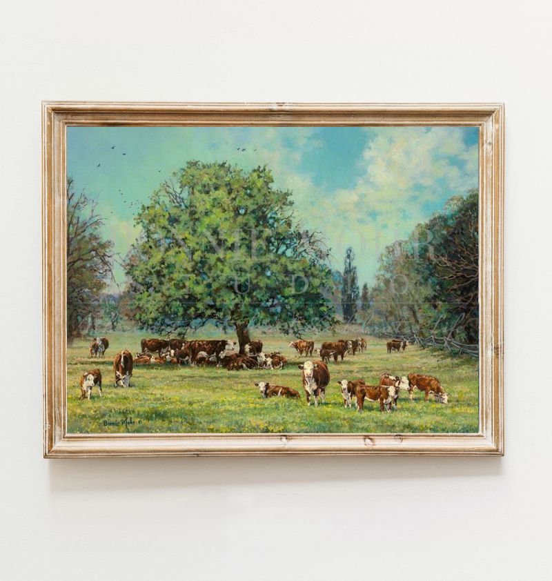Show Cattle Art
