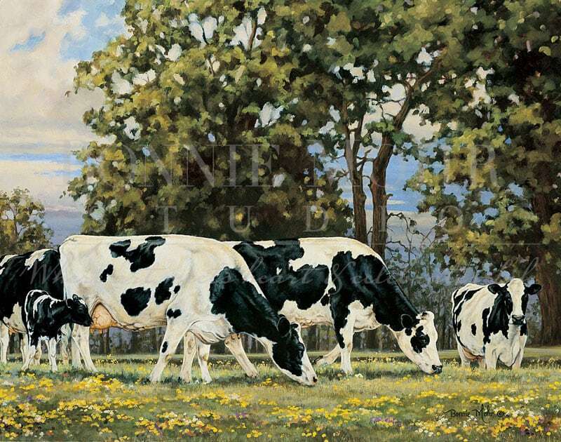 Springs Arrival print - art featutring spring setting, Holstein dairy ...